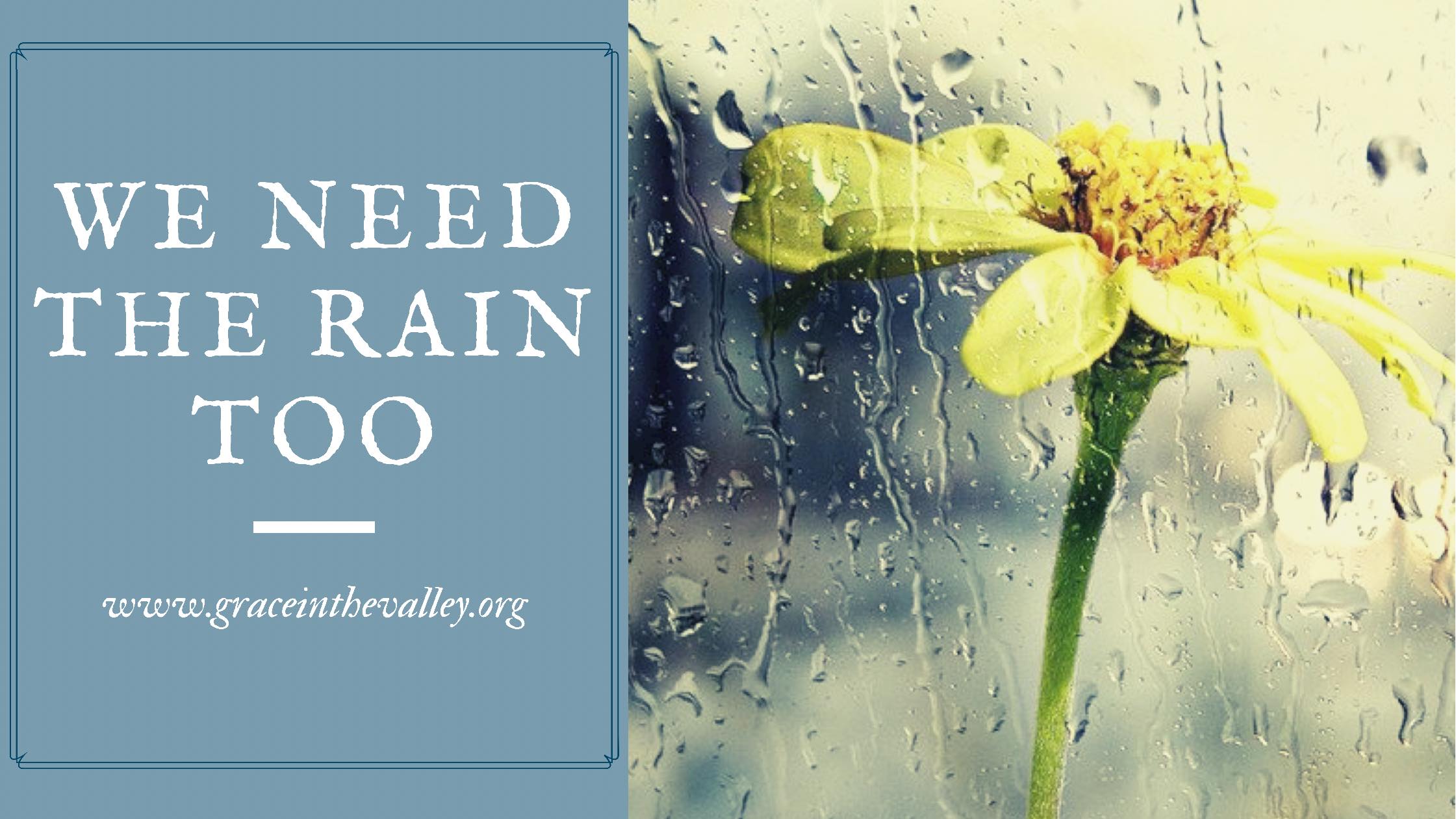 We Need the Rain Too – The Valley