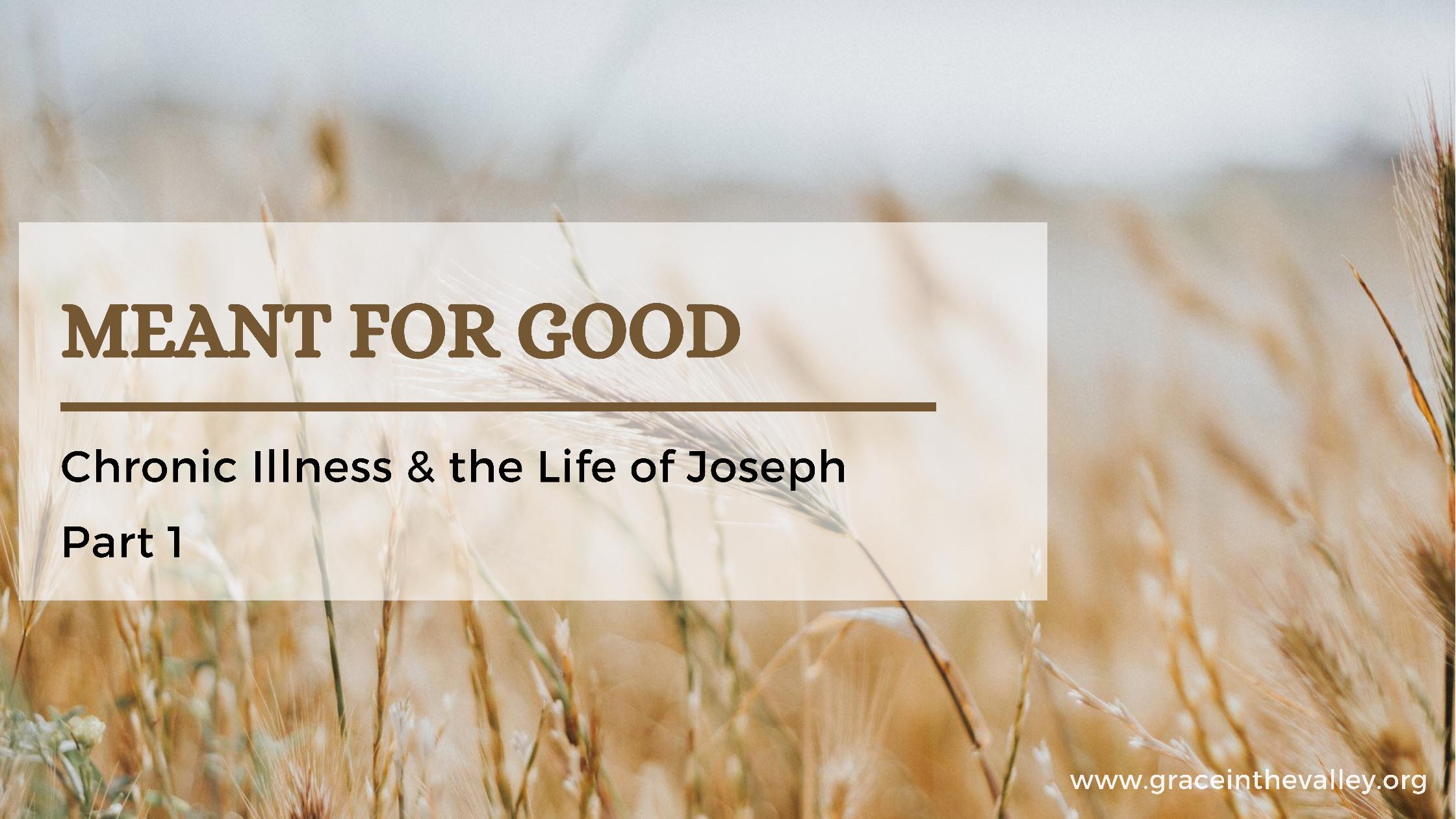 Meant for Good: Chronic Illness and the Life of Joseph, Part I – The Valley
